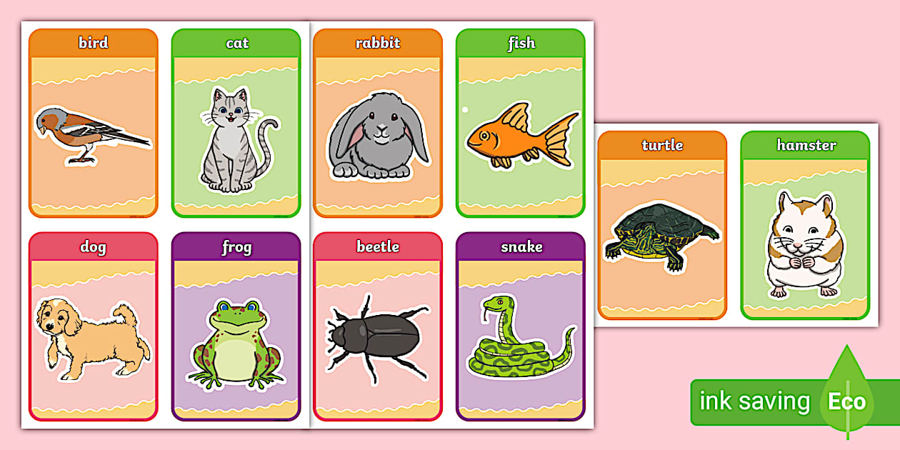 寵物字卡｜Pets Flashcards｜小三適用 (teacher made)