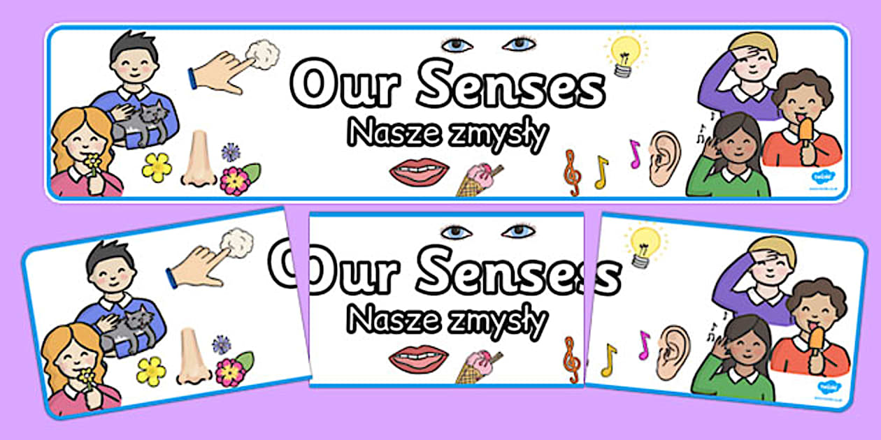 👉 Our Senses Banner Polish Translation (teacher made)