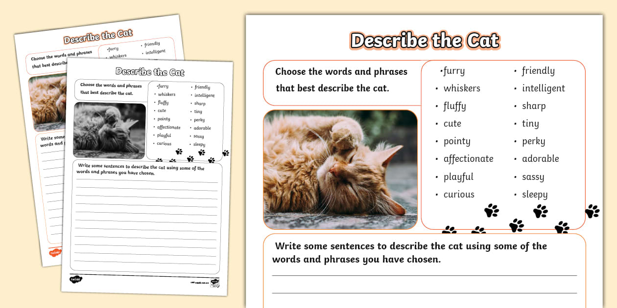 Describe the Cat Worksheet (teacher made) - Twinkl