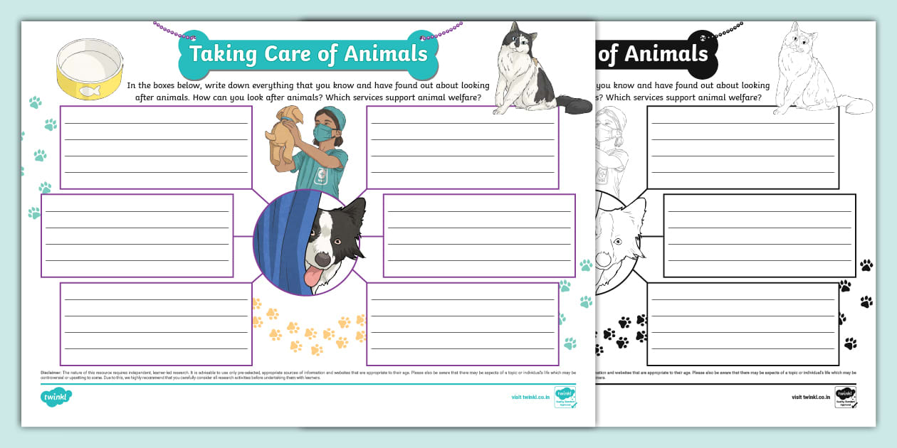 Taking Care of Animals Mind Map (teacher made) - Twinkl