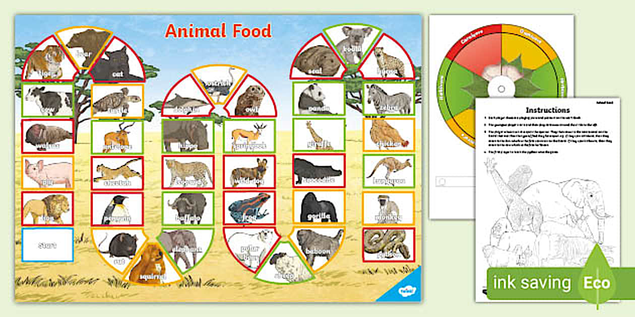 Carnivore, Herbivore or Omnivore? | Animal Board Game