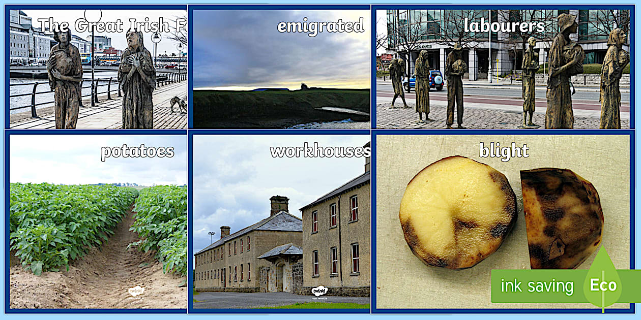 Editable The Great Irish Famine Display Posters - Twinkl