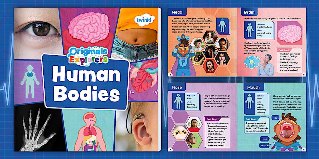 Original Explorers: Human Bodies eBook| Twinkl My Body Book