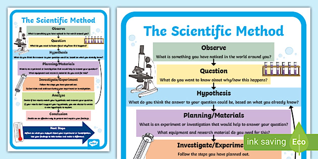The Scientific Method (PYP) – Prompt Poster - Twinkl