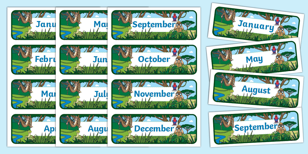 Jungle Themed Months of the Year Word Cards (teacher made)