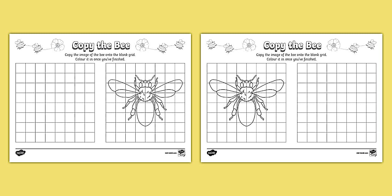 Copy the Bee Worksheet (teacher made) - Twinkl