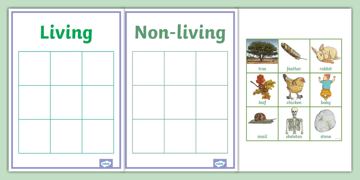 Living or Non-Living Sorting Activity Cards (teacher made)