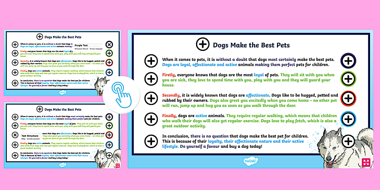 Year 3 NAPLAN Interactive Persuasive Writing TSample