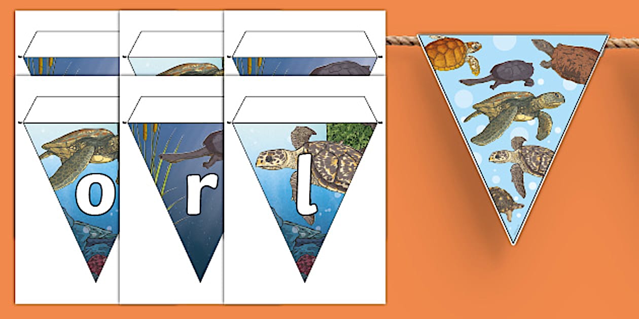World Turtle Day Bunting | Displays | Twinkl Australia