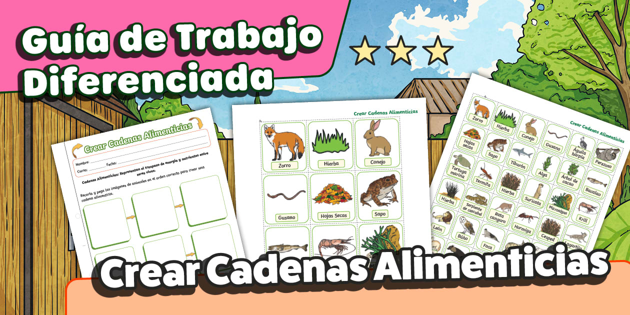 Guía de Trabajo | Diferenciada | Cadenas | Alimenticias