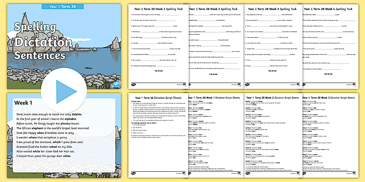 Year 1 Term 3B Spelling Dictation Sentences Activity Pack