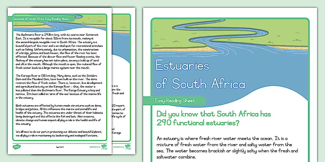 Gr3/4: Estuaries in South Africa Easy-Reading Sheet - Twinkl