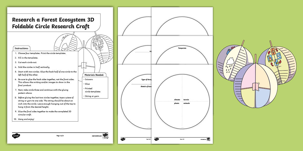Research Forest Ecosystem 3D Foldable Circle Research Craft