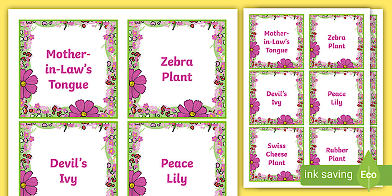 Indoor Plant Labels (professor feito) - Twinkl