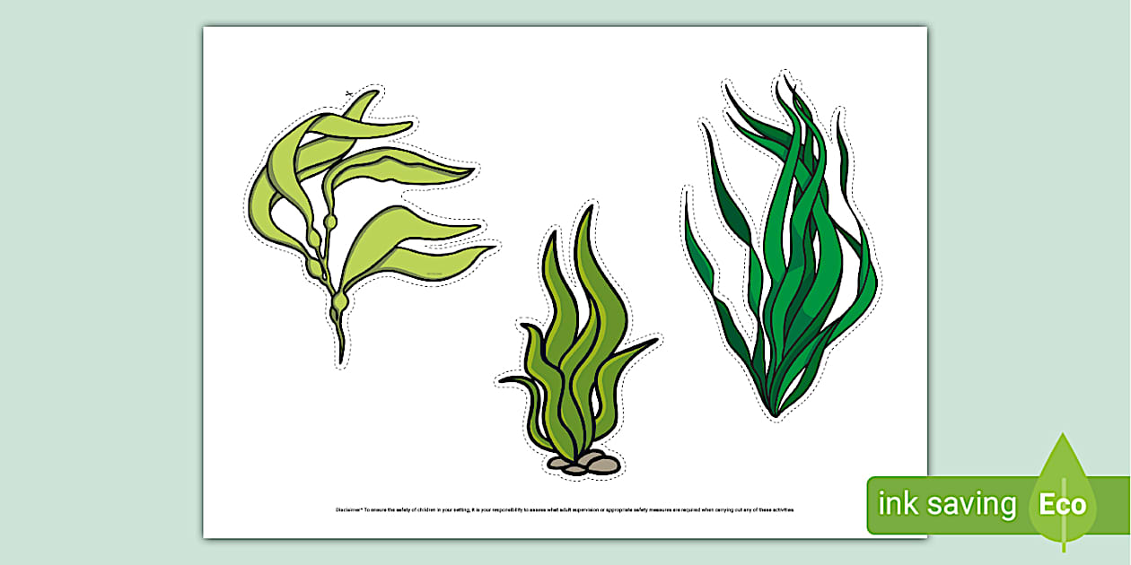Seaweed Display Cut-Out (Teacher-Made) - Twinkl