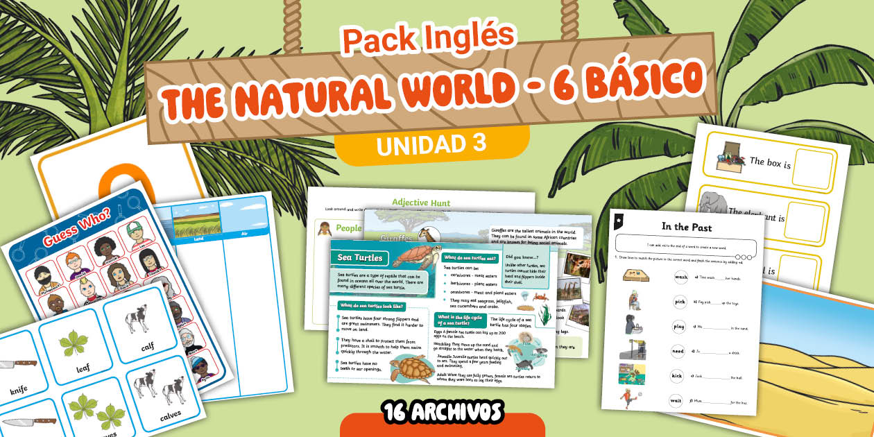Pack | Unidad 3 | 6° Básico | Inglés | Animales | Habitat