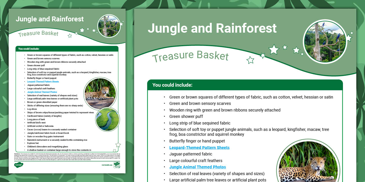 Jungle and Rainforest Treasure Basket Ideas | Twinkl