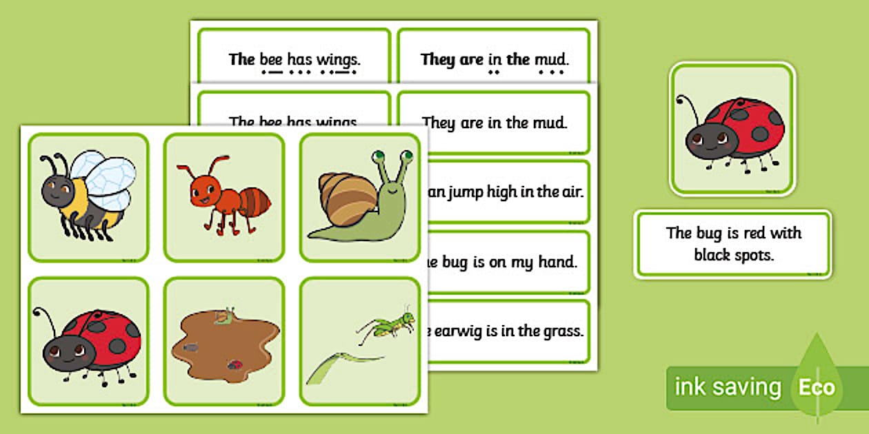 Editable Minibeast-Themed Simple Sentence Matching Activity