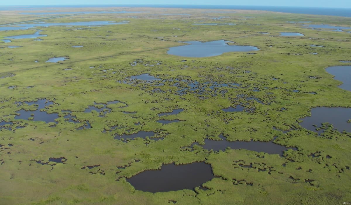 Plans to Reroute Mississippi Waters by Building Vast Canal - Twinkl ...