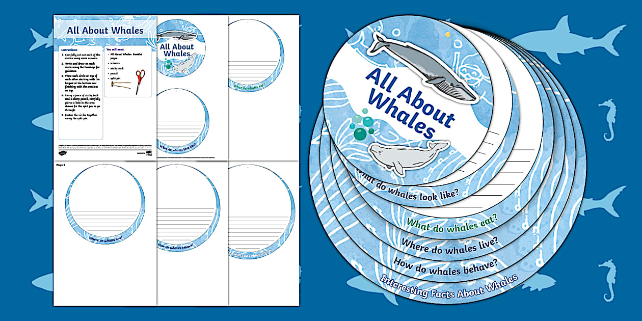 * NEW * All About Whales Circles Booklet (teacher made)