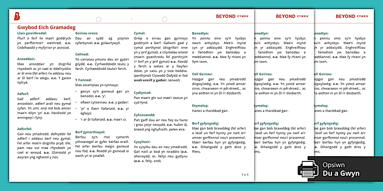 Taflen Wybodaeth Gramadeg (Teacher-Made) - Twinkl