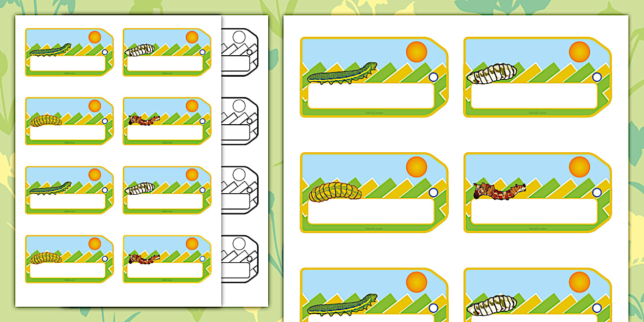 Caterpillar Name Labels (teacher made) - Twinkl