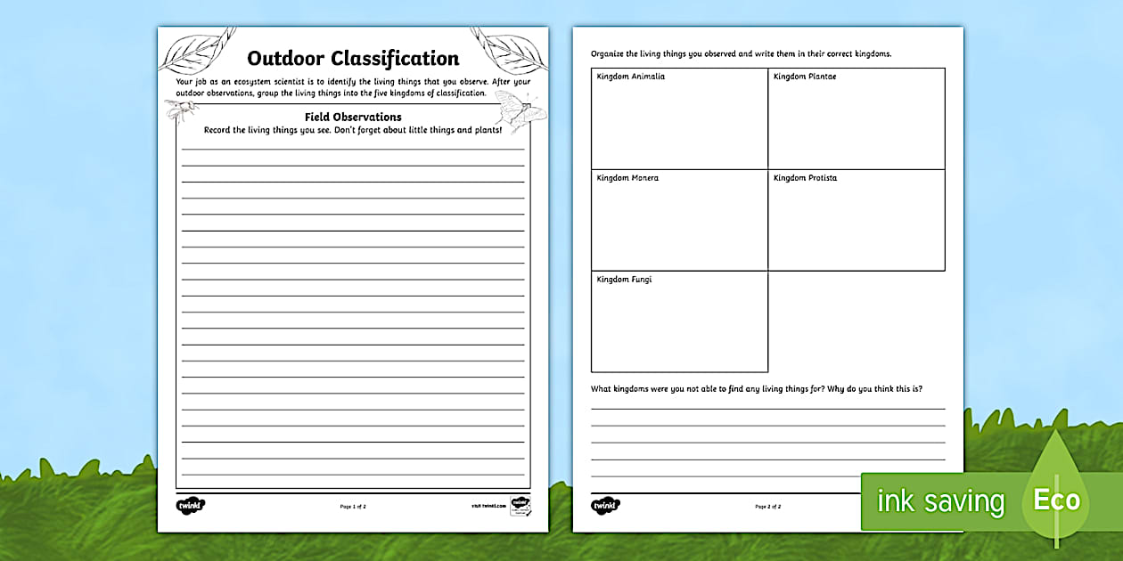 Kingdom Classification Worksheet | Science | Twinkl - Twinkl