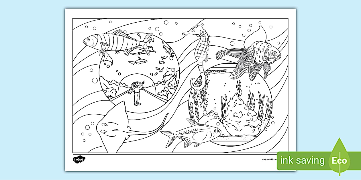 Aquarium Colouring Page, Fish (teacher made) - Twinkl