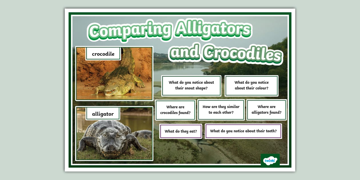 Comparing Crocodiles and Alligators Discussion Prompt Poster