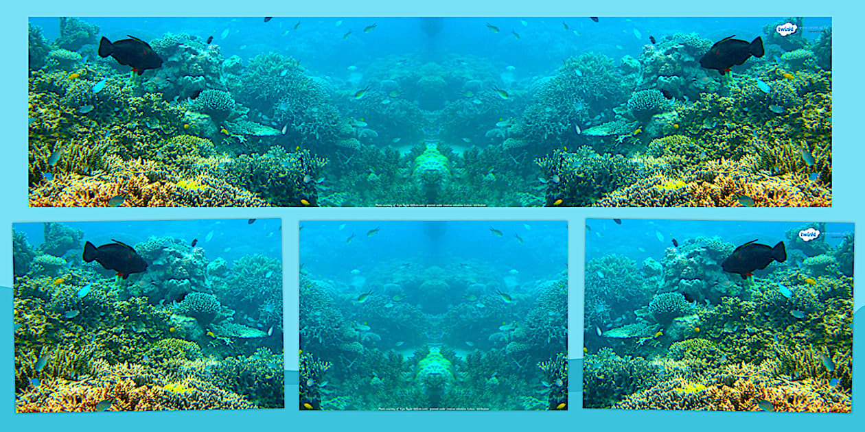 Under the Sea Photo Small World Background (teacher made)