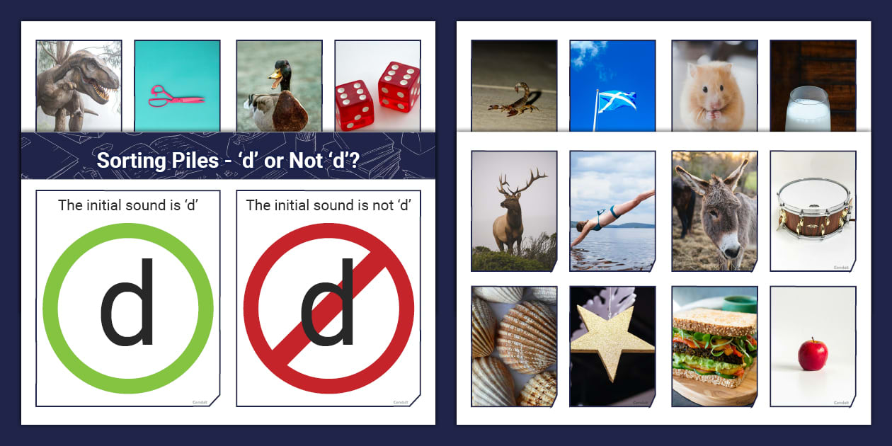 Reinforcing Sounds: 'd' Initial Letter Sorting Activity
