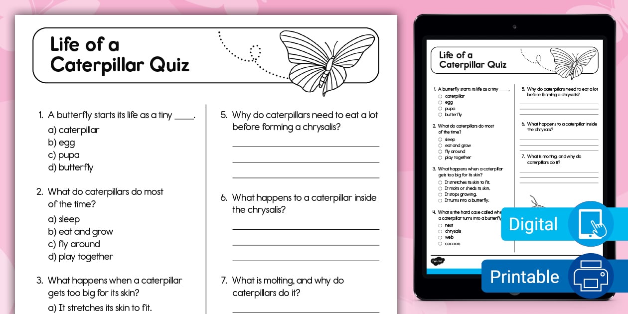 The Life of a Caterpillar Quiz for K-2nd Grade