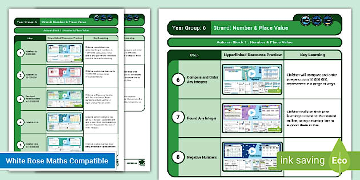 👉 Year 6 Number and Place Value DiM Maths Overview