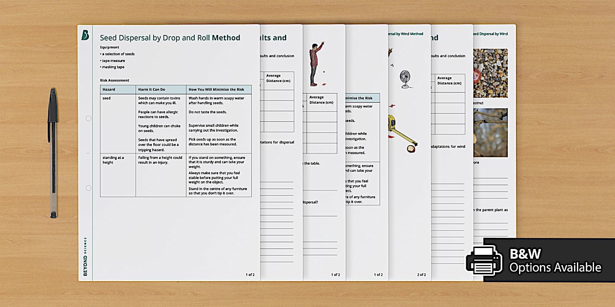 Seed Dispersal Investigation | KS3 Biology | Beyond - Twinkl