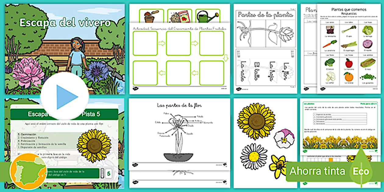Pack de recursos: Las plantas (teacher made) - Twinkl