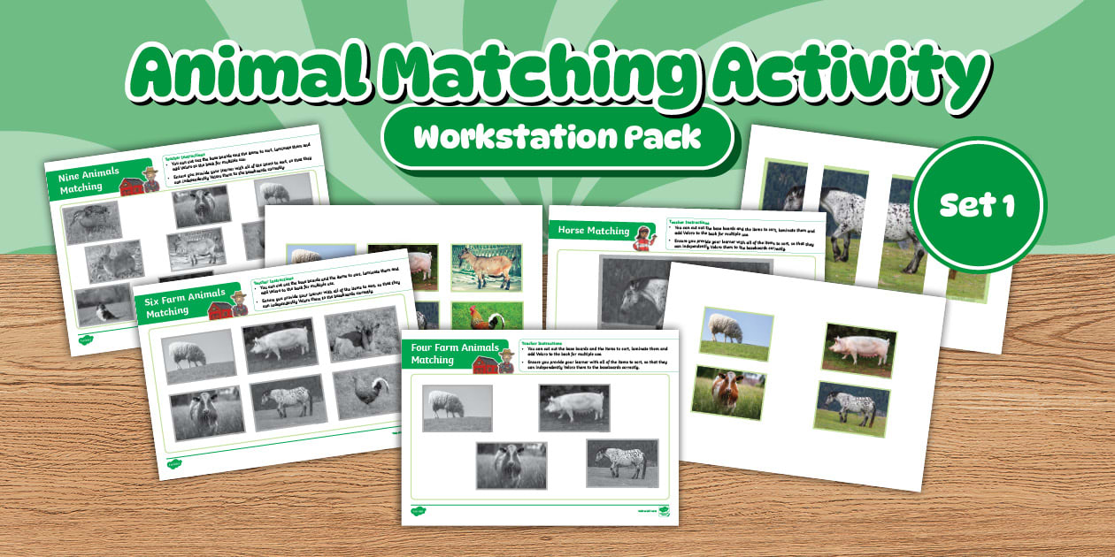 Matching Workstation Animal Activities