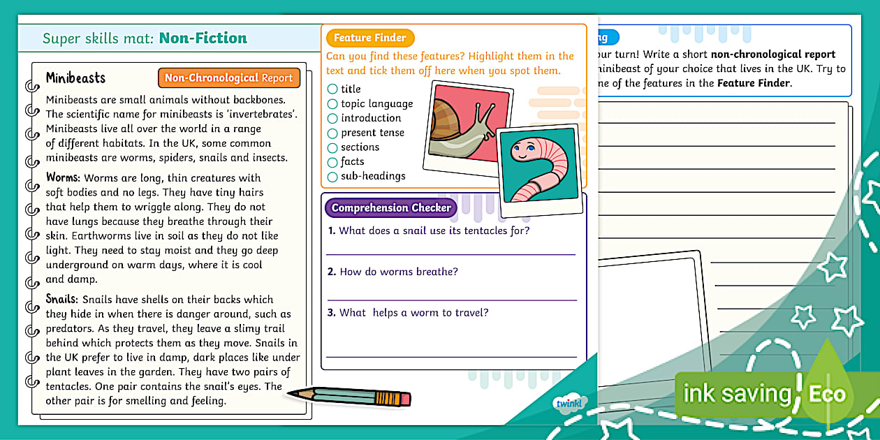 Super Skills Mat: Non-Chronological Reports: Minibeasts (Ages 5 - 7)