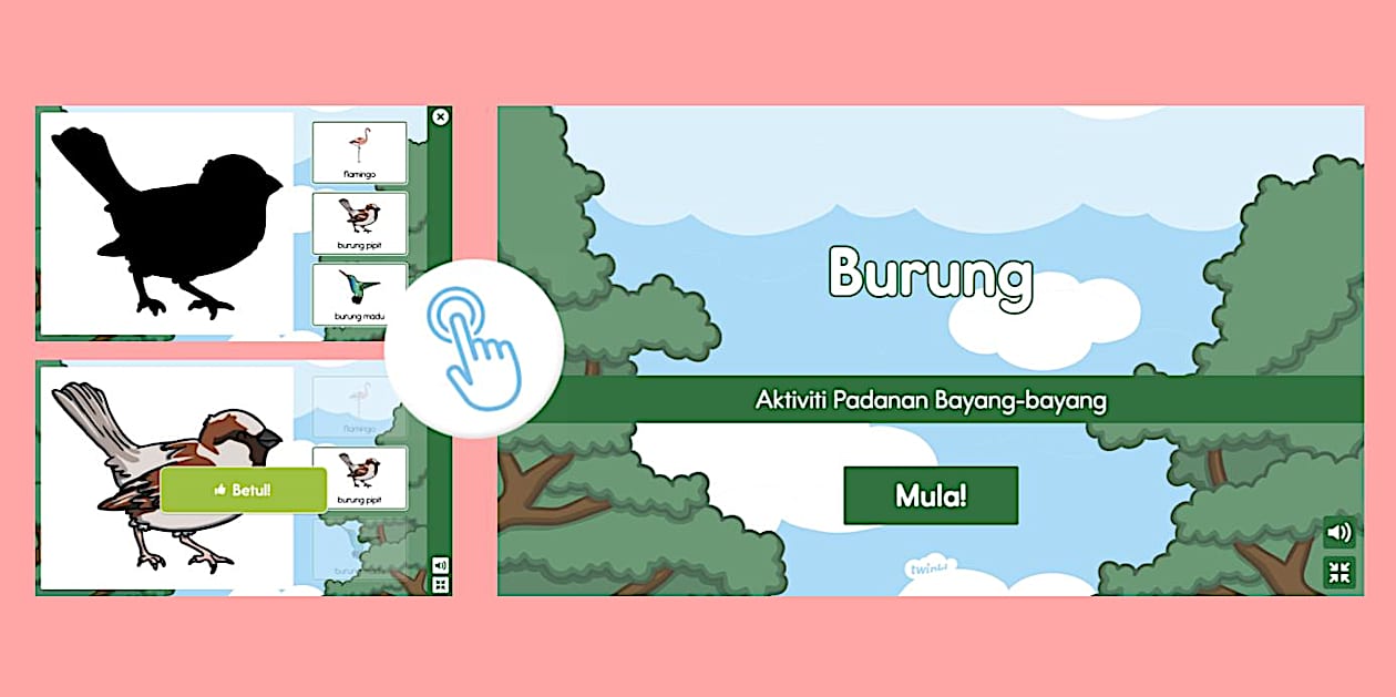 Permainan Interaktif Padanan Bayang-bayang Burung - Twinkl