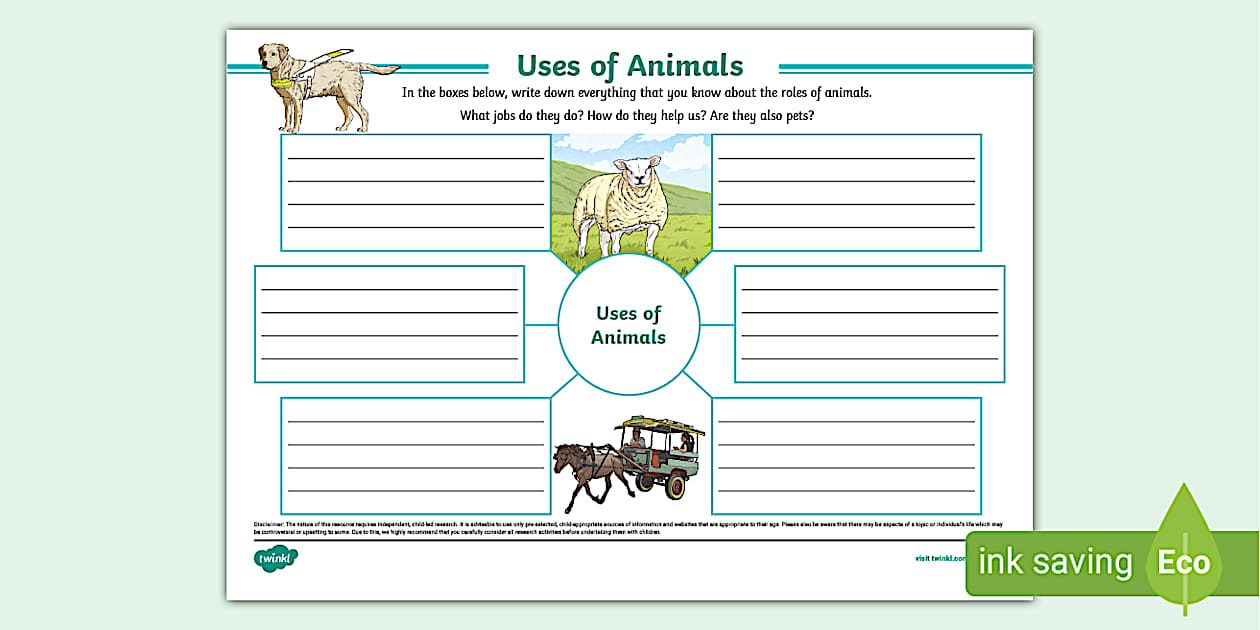 Uses of Animals Mind Map Template (teacher made) - Twinkl