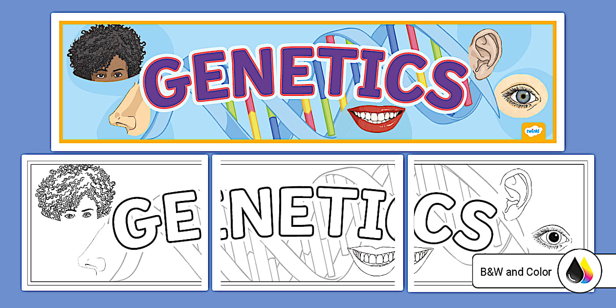 Genetics Banner (teacher made) - Twinkl