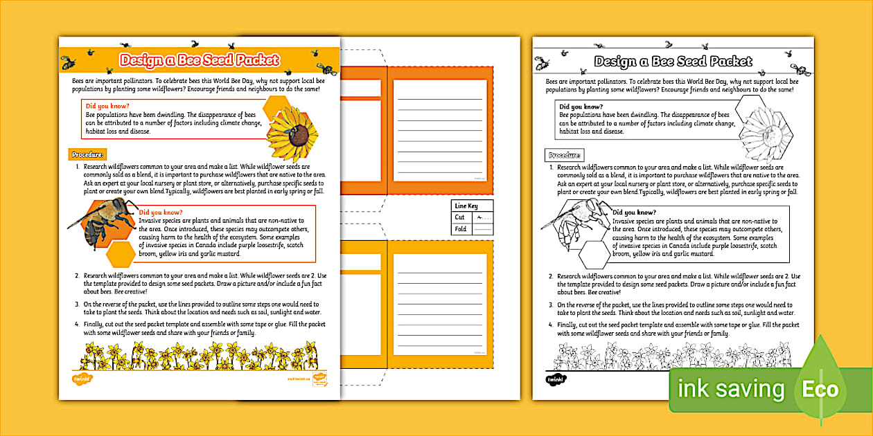 Design a Bee Seed Packet Activity (teacher made) - Twinkl