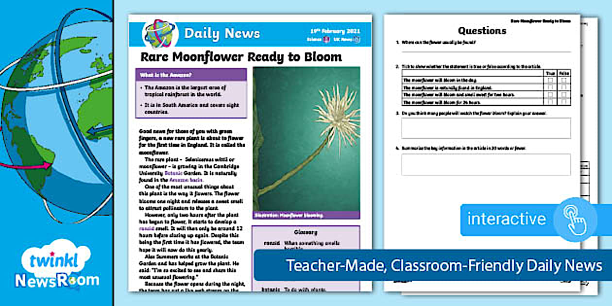 News Story for Children Aged 7-9: Rare Moonflower in UK