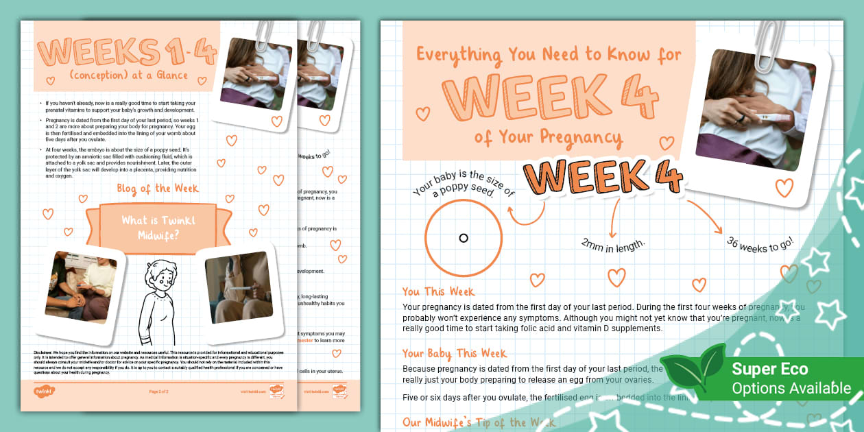 Everything You Need to Know for Week 4 of Your Pregnancy