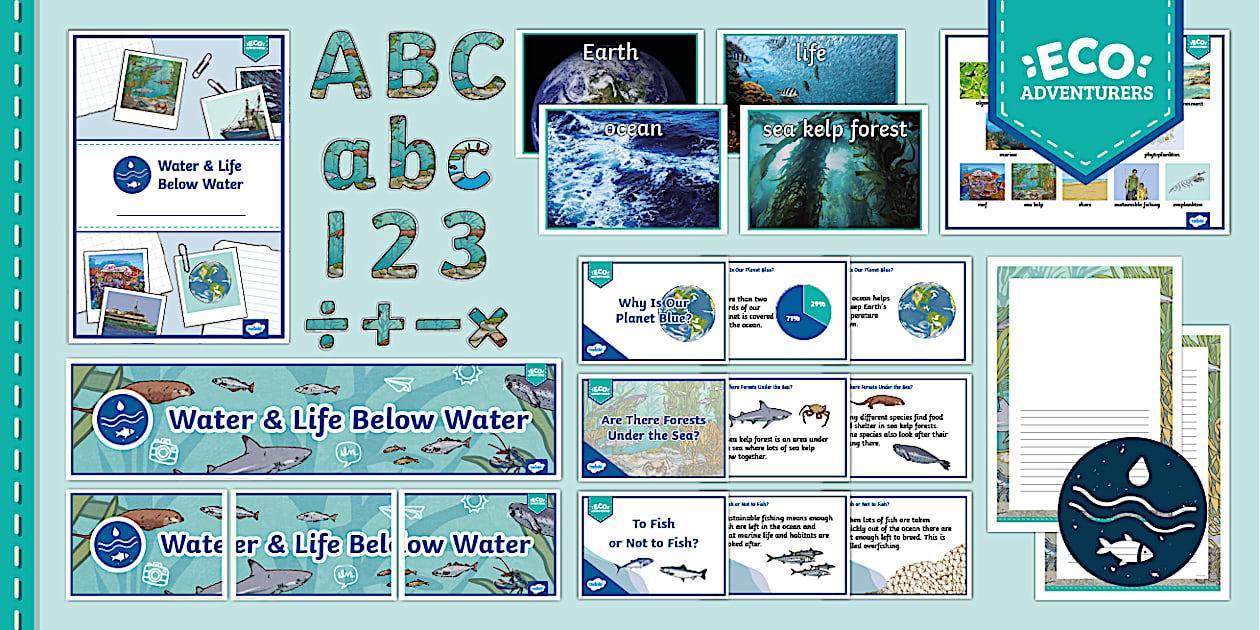Year 3 Water & Life Below Water: Display Pack (teacher made)