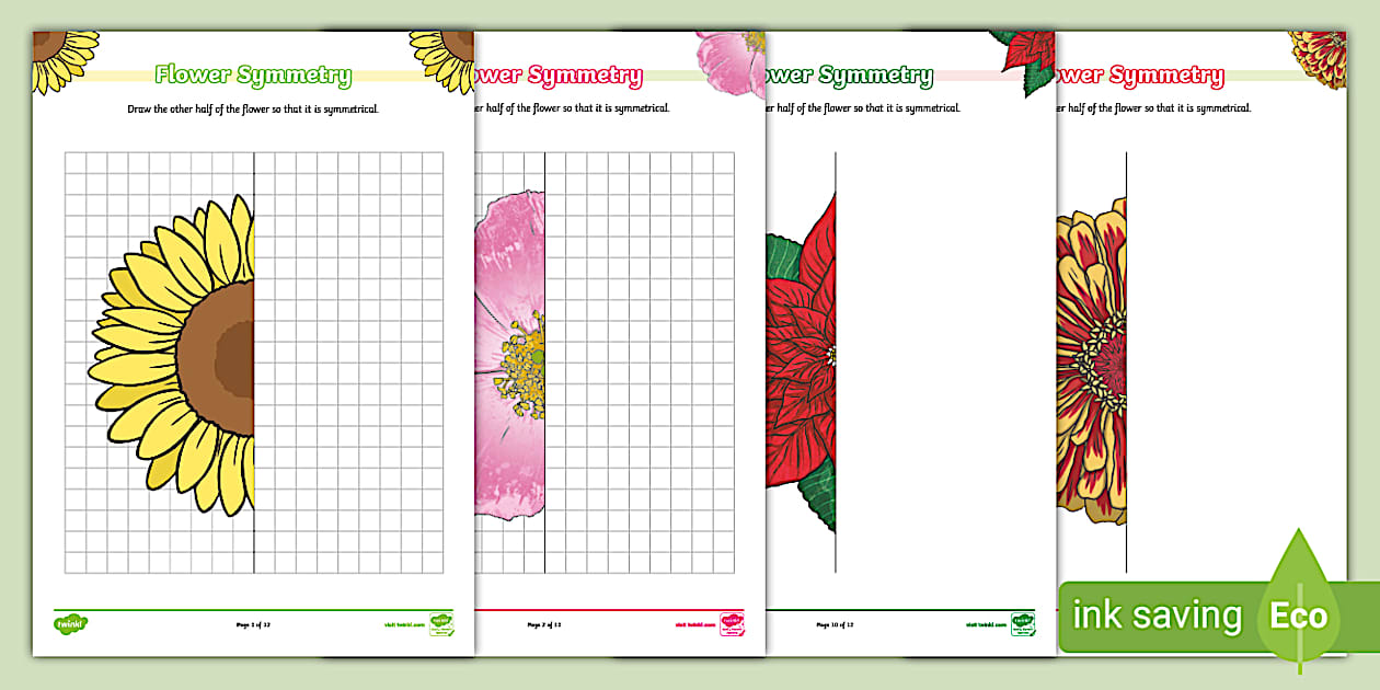 Flower Symmetry Drawing Activity Pack, Symmetry, Flowers