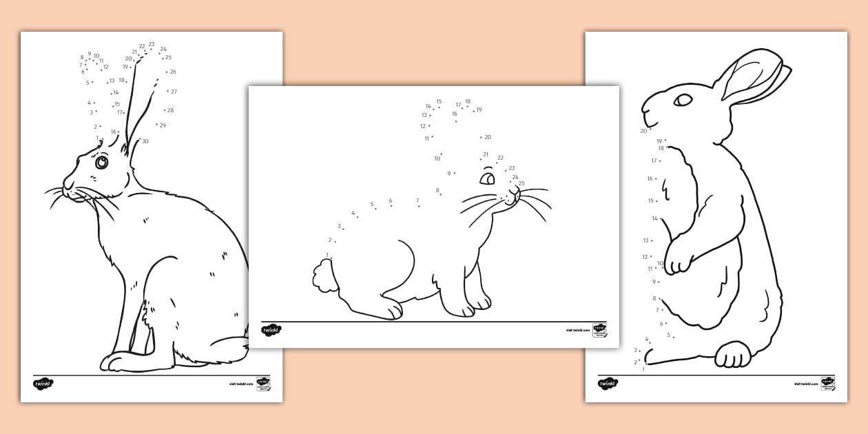 Rabbit Dot to Dot up to 30 - KS1 (teacher made) - Twinkl