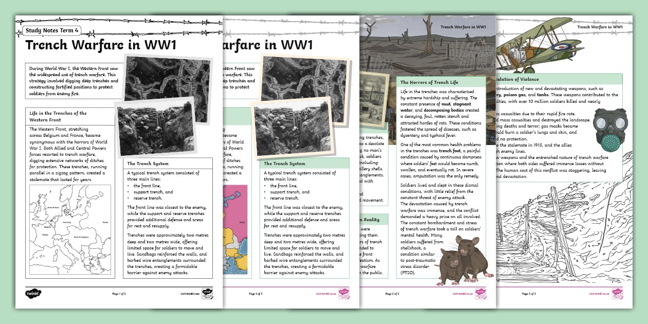 Grade 8 History Term 4 Notes: Trench Warfare in WW1