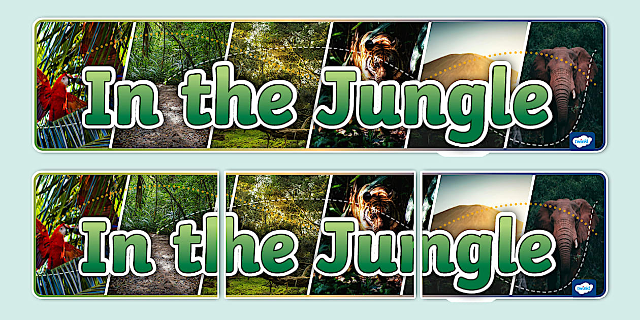 In the Jungle Photo Display Banner (teacher made) - Twinkl
