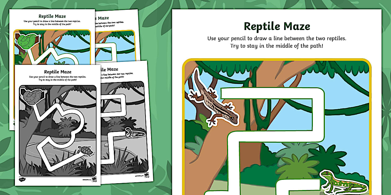 Reptile Pencil Control Worksheets (teacher made) - Twinkl