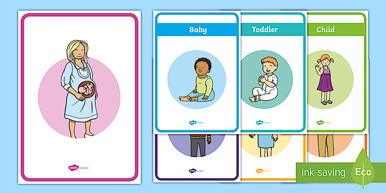 Human Life Cycle Posters (Teacher-Made) - Twinkl